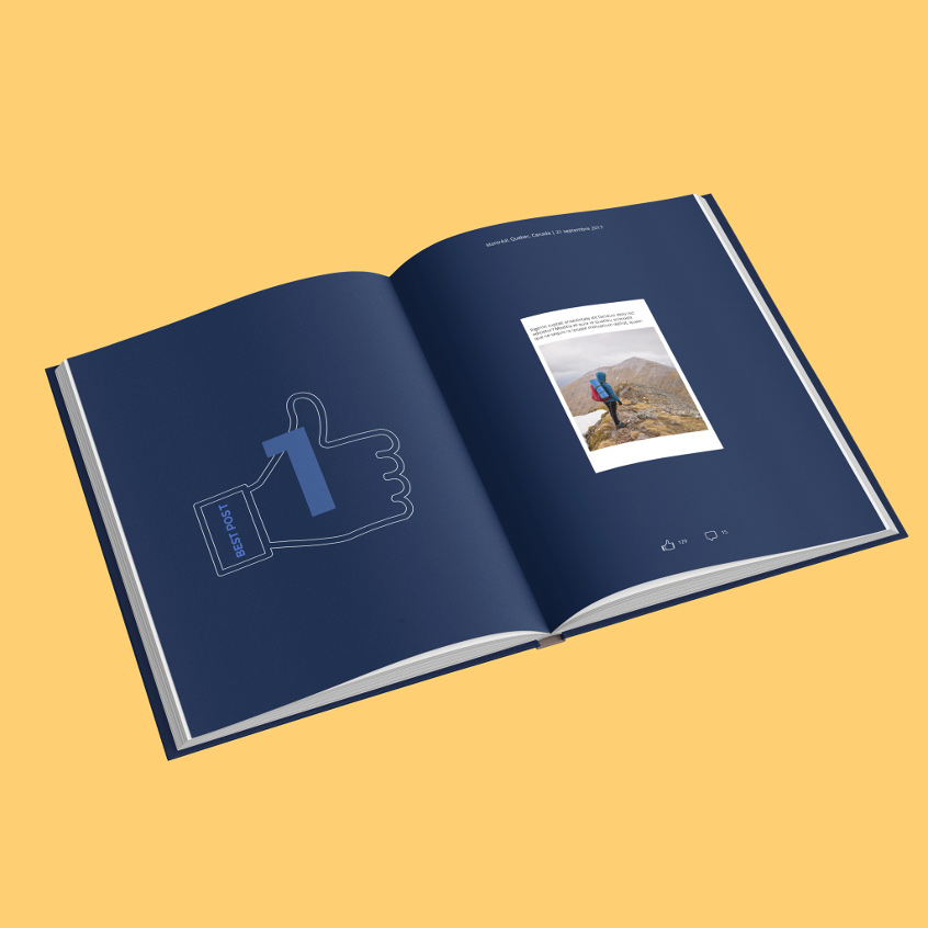 My Facebook book: Print my top 100 best Facebook posts!